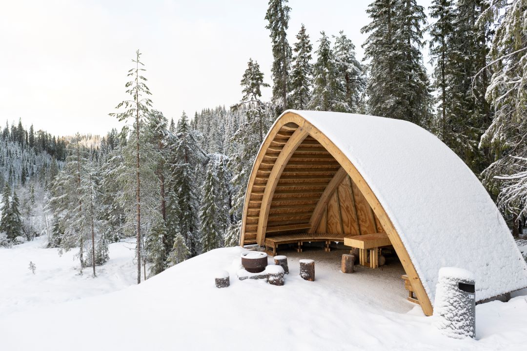 Tur i skog og mark - Trondheim kommune