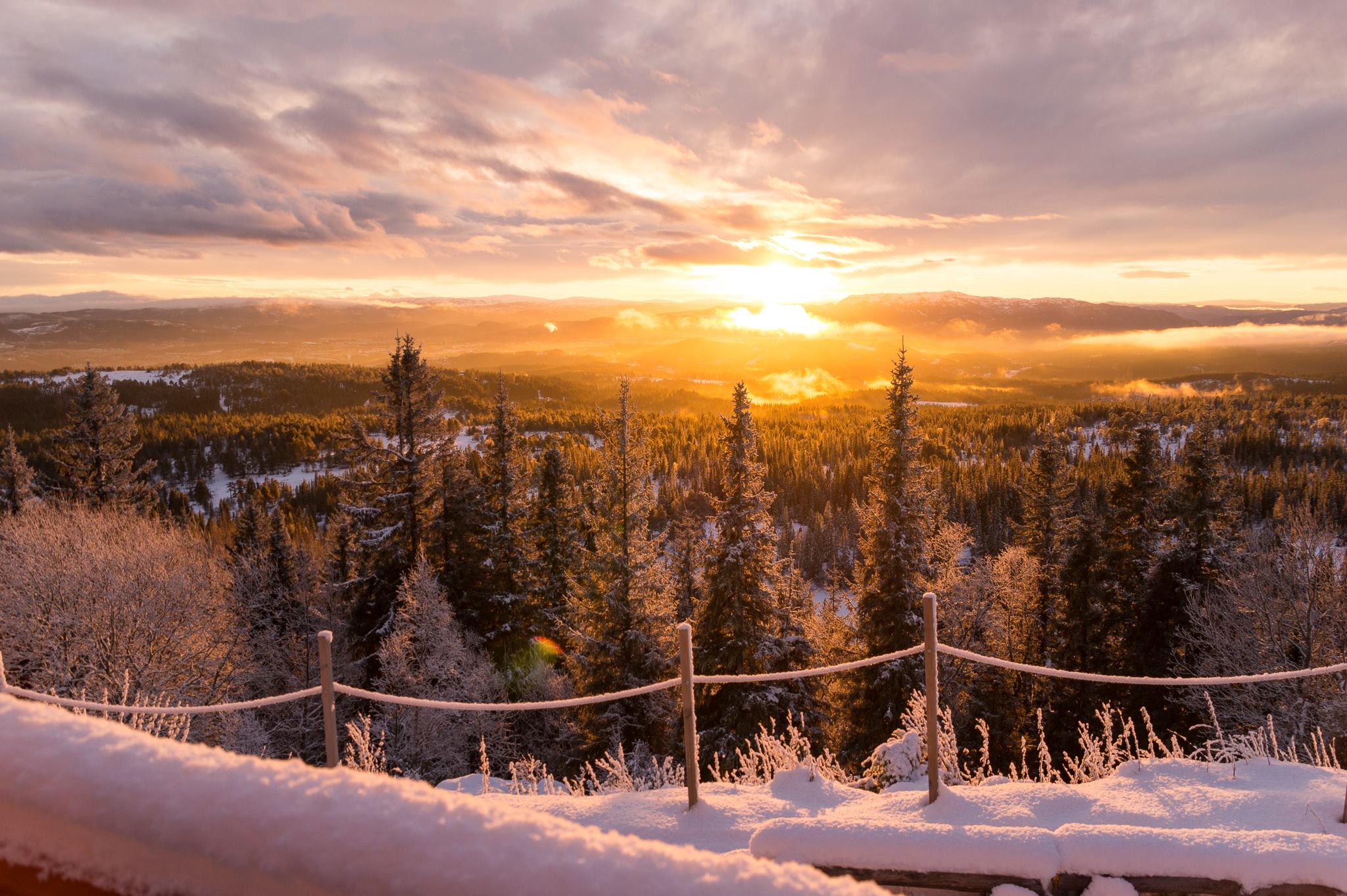 På tur i Bymarka - Trondheim kommune